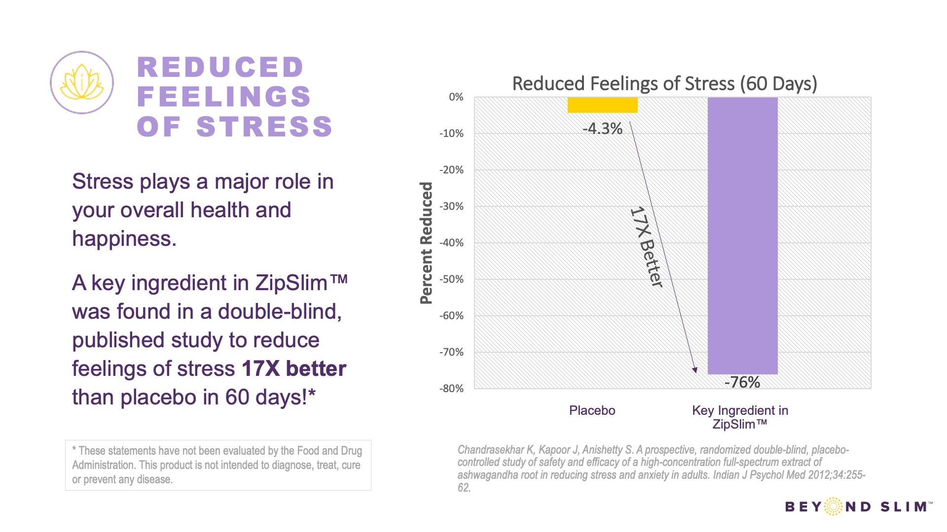 ZipSlim® | Beyond Slim® – Beyond Slim