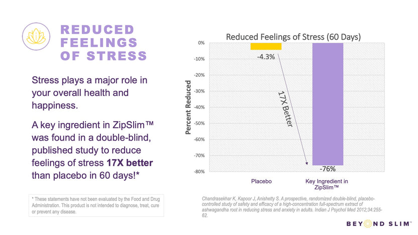 ZipSlim® | Beyond Slim® – Beyond Slim