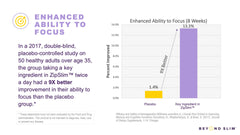 ZipSlim® | Beyond Slim® – Beyond Slim